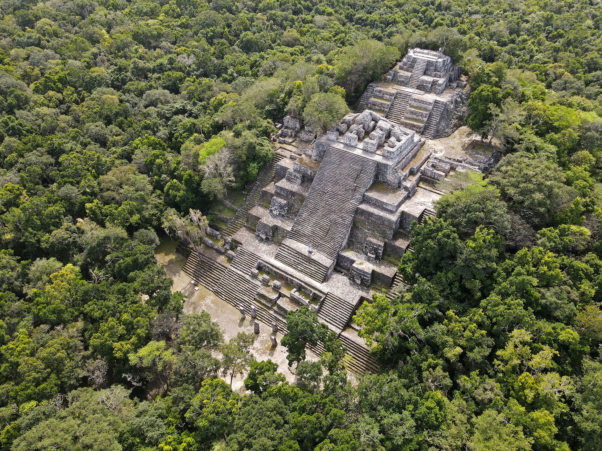 Reserva Gran Calakmul, la segunda reserva de selva tropical más grande ...